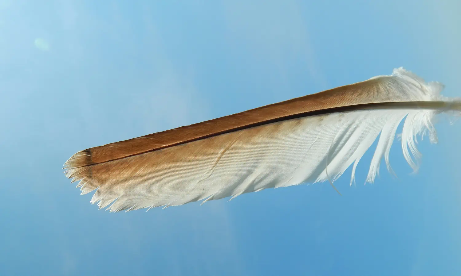 Wertorientierte Persönlichkeitsbildung (WOP) - Corinna Böschemeyer